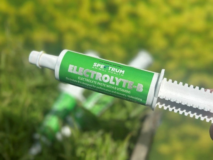 Spectrum Electrolyte B Paste – Hewitt & Whitty Saddlery
